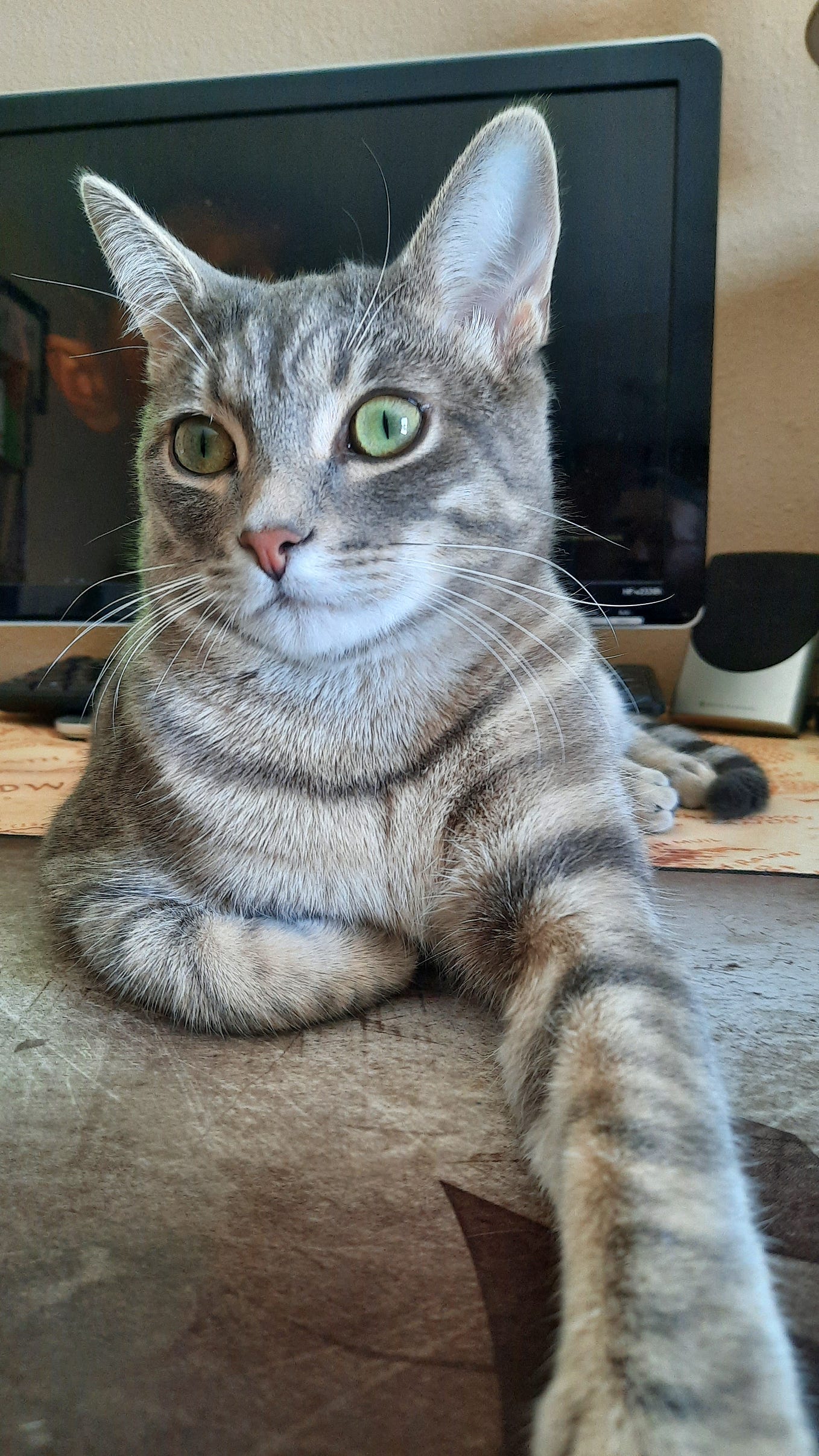 My Best Friend, part 1. It’s Monday, I’m not even supposed to… | by ...