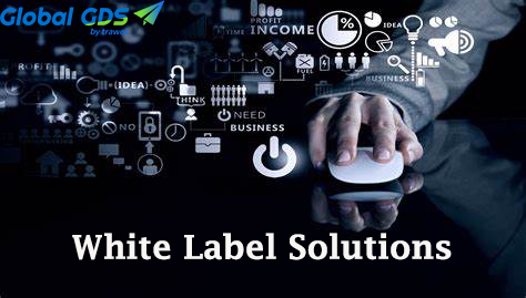 White Label Solutions. White Label Solution: | by Aishu kri | Aug, 2023 | Medium