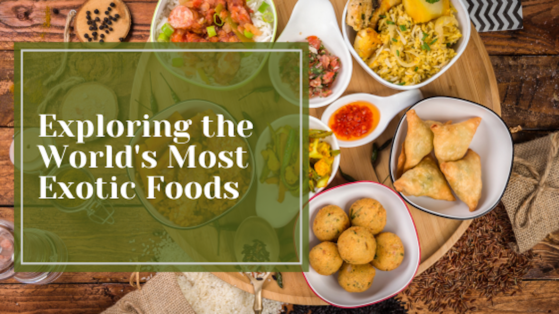 A Beginner’s Guide to Fermented Foods: Benefits and Recipes | by Joshua Sipkin | Sep, 2024 | Medium