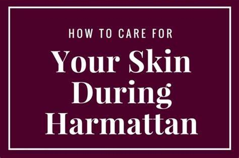 Embracing the Wind: Nourishing Your Skin Amidst the Harmattan Symphony ...