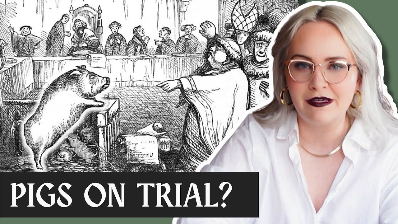 Socrates Was a Bisexual King Who Hated Democracy, So They Killed Him ...