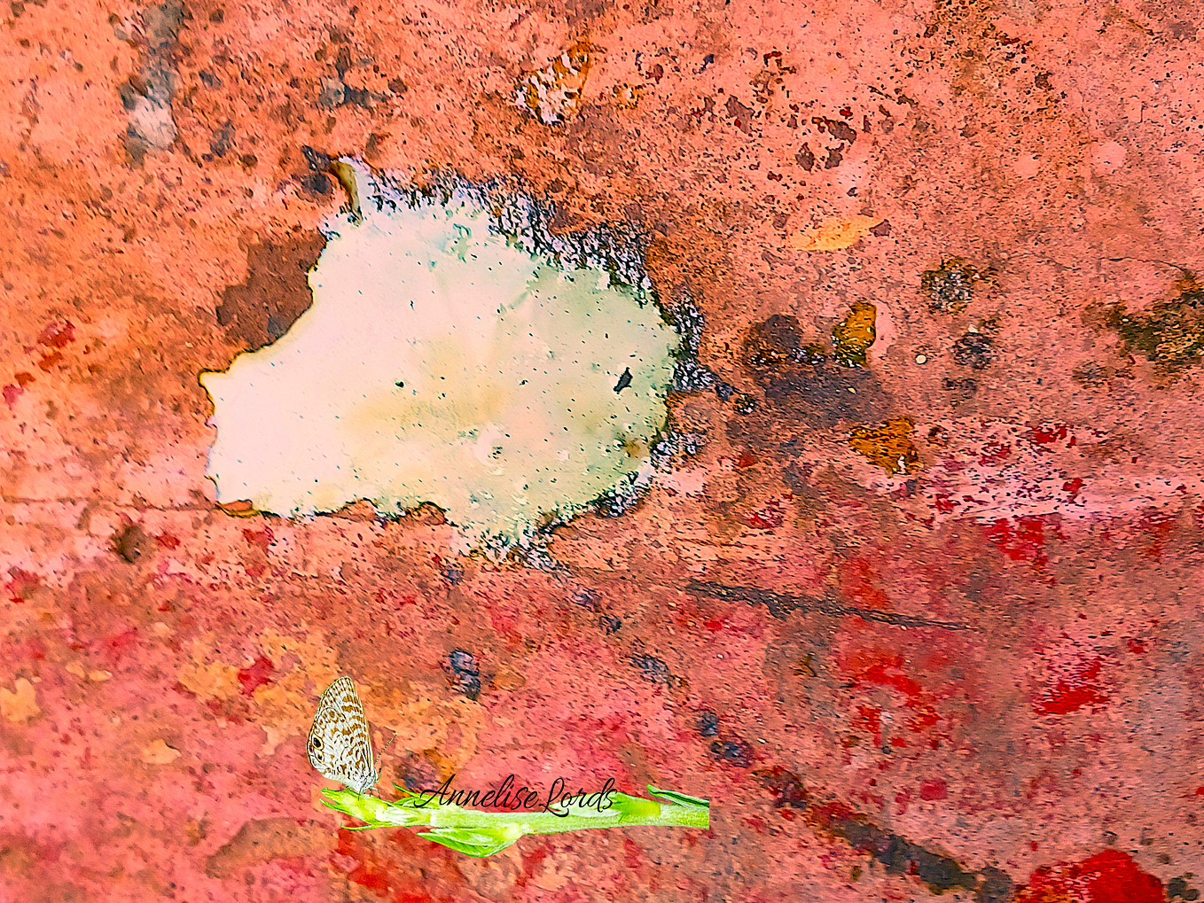 Exploring the Fifth Dimension: The Development of 5D Theory | by ...