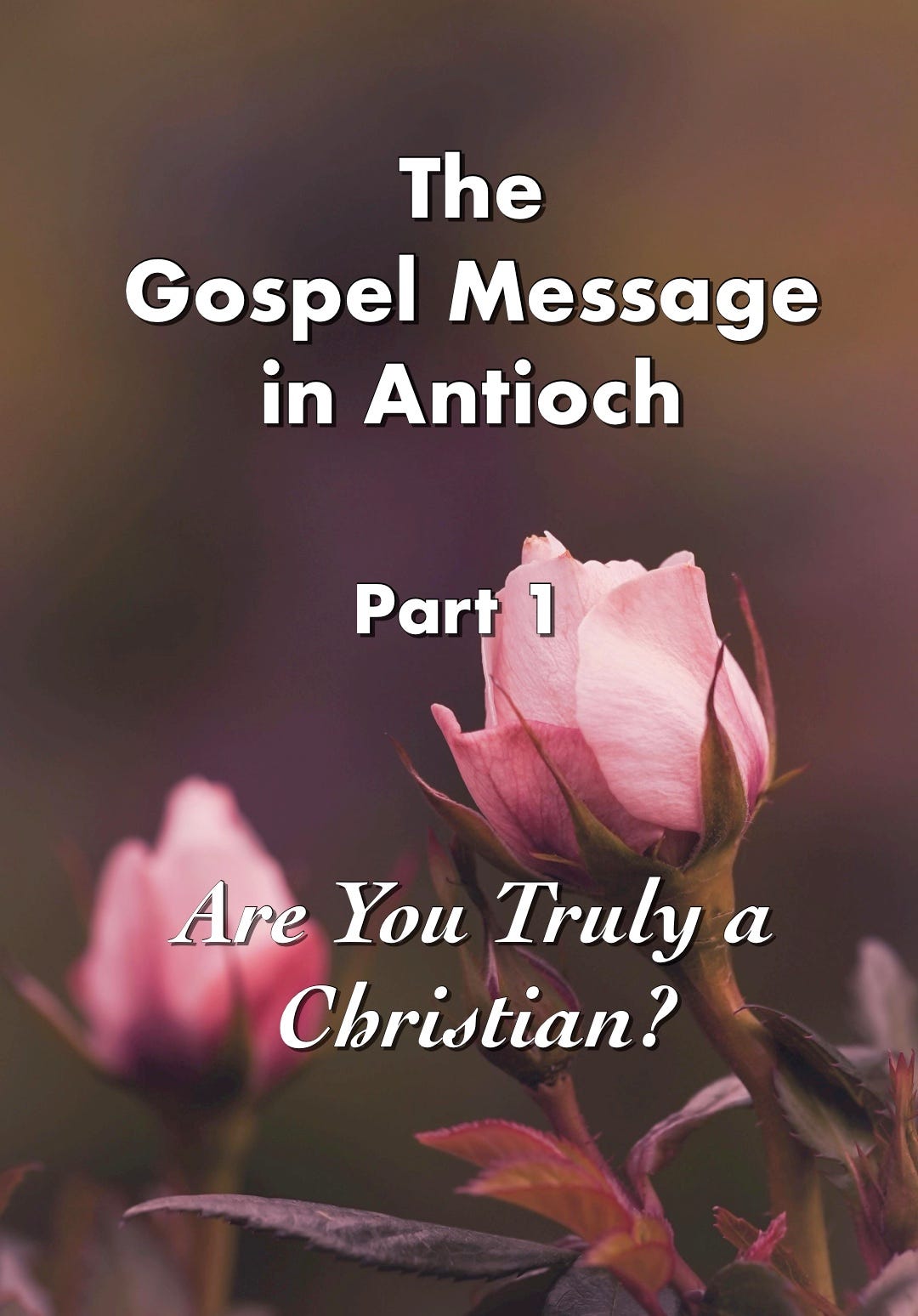 Exalting The Cross – Part 1. The Conversion of Timothy | by Richard ...