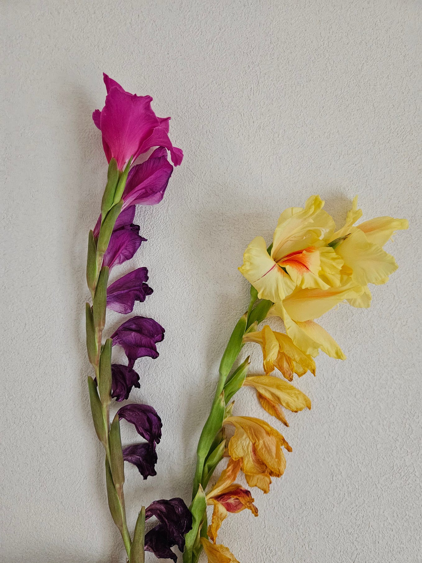 200-word memories: The slip of paper | by Adrian S. | Medium