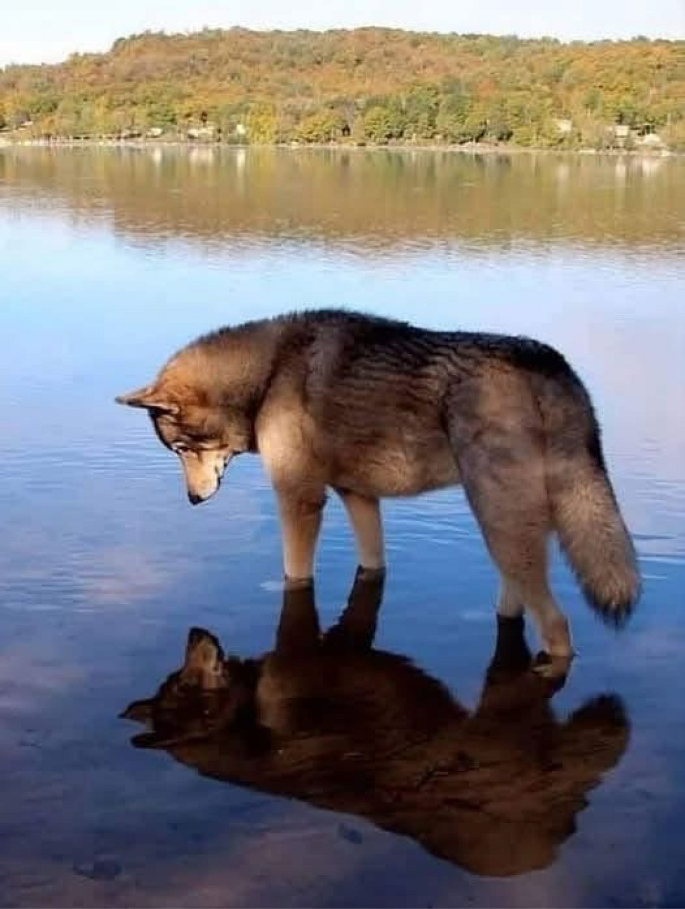 Jeshua & Yvonne. This is Jeshua, I am here. WE are here… | by Jesus ...