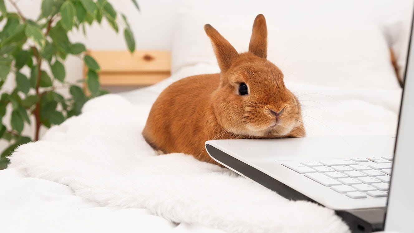 Async In Java A Tell All Guide To Understanding The By Cognizant Cognizant Softvision