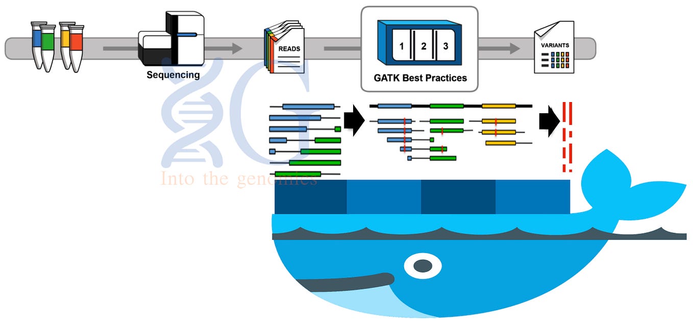 Cnvs Copy Number Variants— Context Detection Methods And Exploratory Data Analysis With