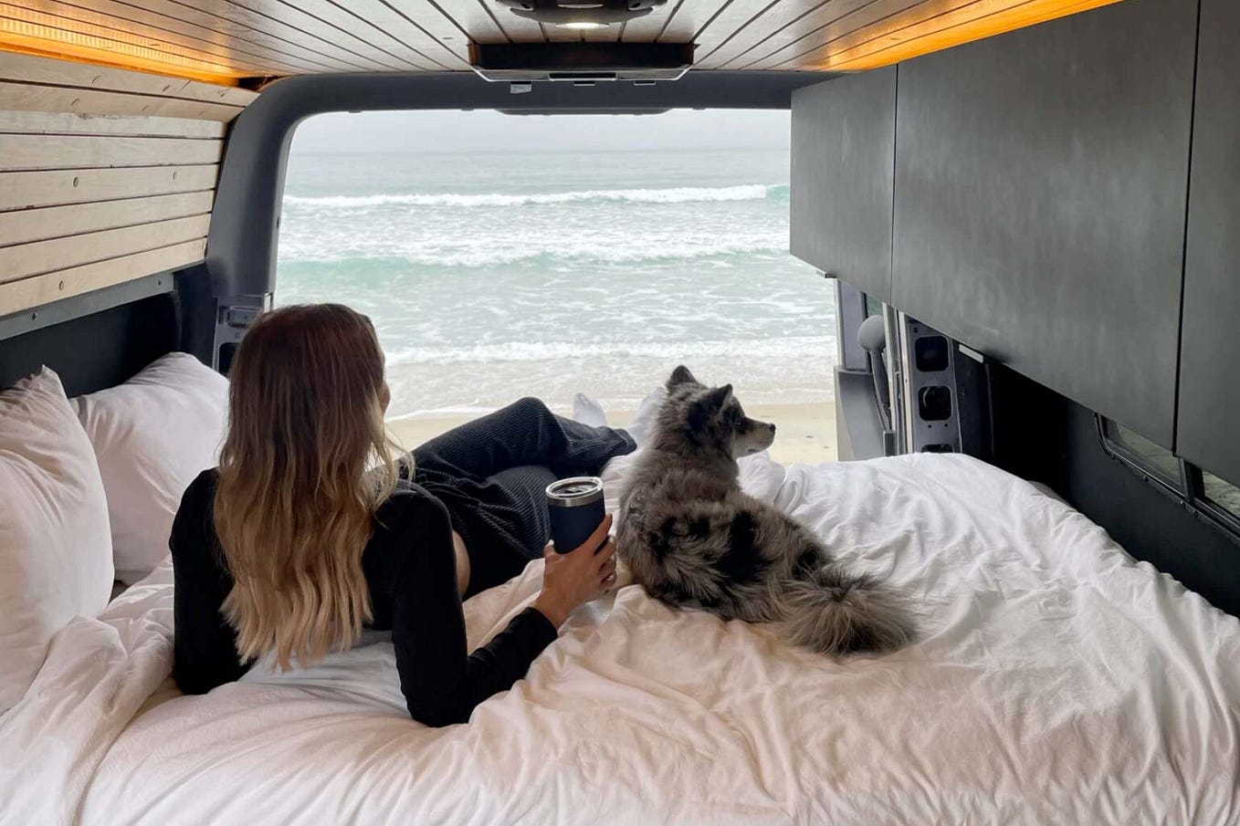Choosing The Best Vans For Your Van Life A Personality Driven Guide By Buy Or Sell Campers