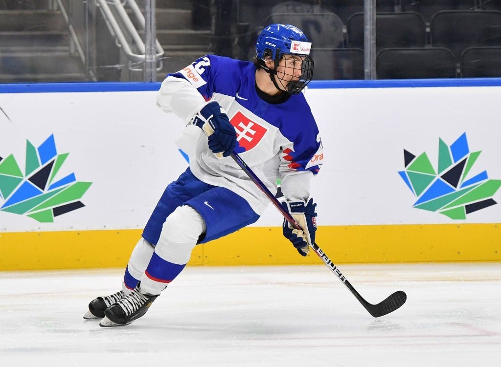 Top 25 Chicago Blackhawks Prospects: Gavin Hayes shows up at #23 | Medium