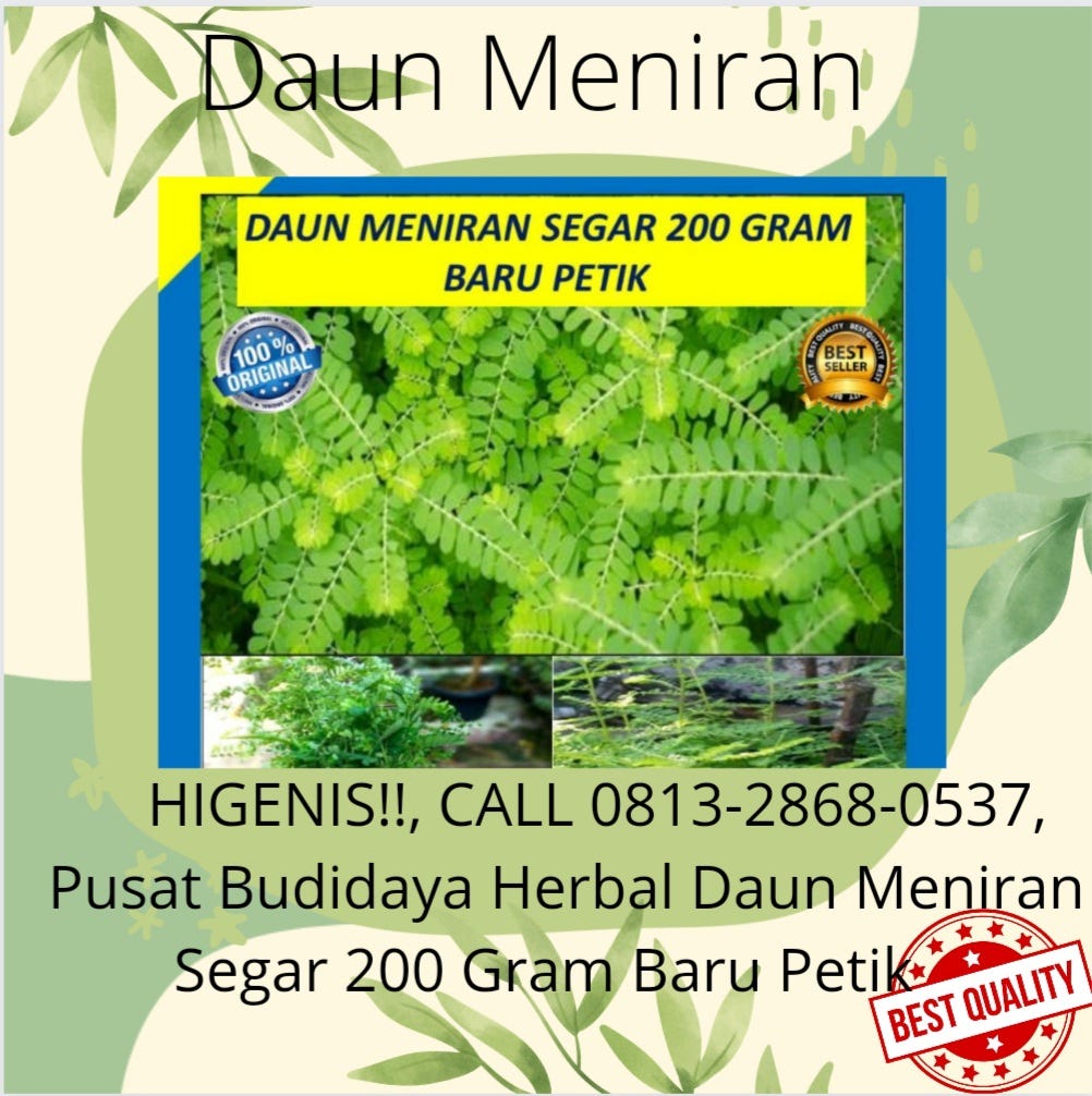 Medium 2 Pusat Budidaya Herbal Daun Keje Beling Alami Tambak Bayumas ...