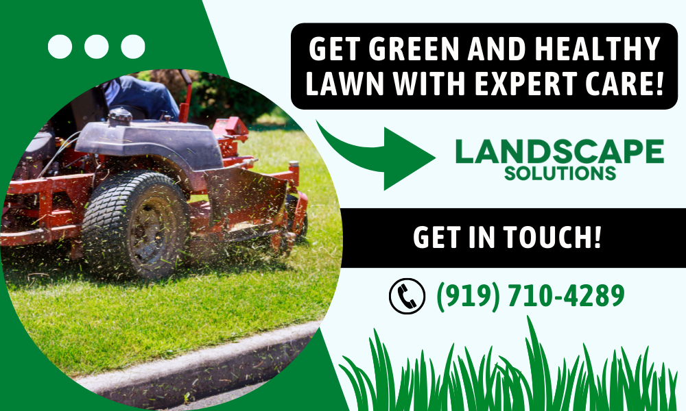 Get Your Yard Lush with Our Lawn Maintenance Company! - Landscape ...