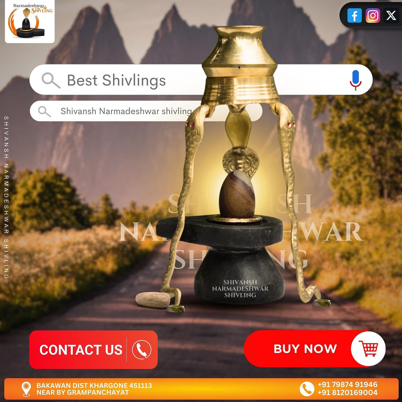 Narmadeshwar Shivling for home / Shivansh Narmada Shivling | by ...