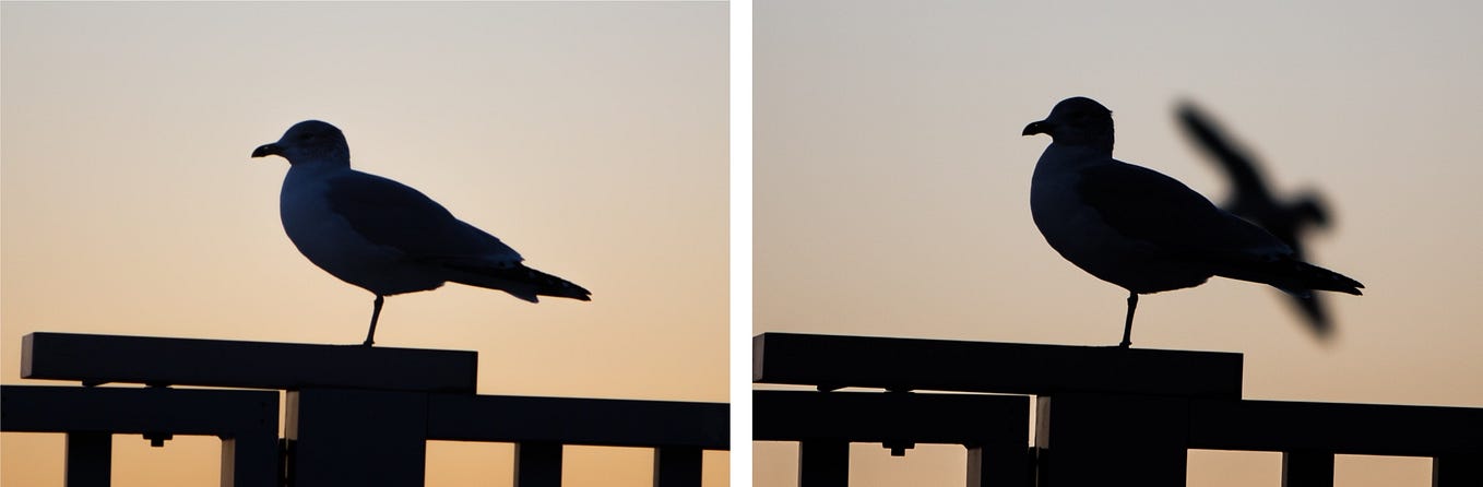 Forced perspective photography: ideas, tips, and how-tos. | by SmugMug ...