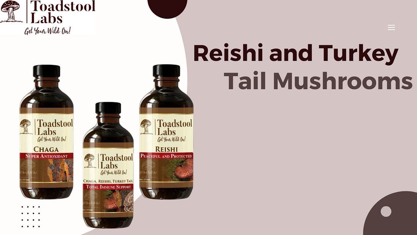 Mushroom Power: Boosting Immunity with Lion’s Mane Mushroom Capsules | by Toadstoollabs | Medium