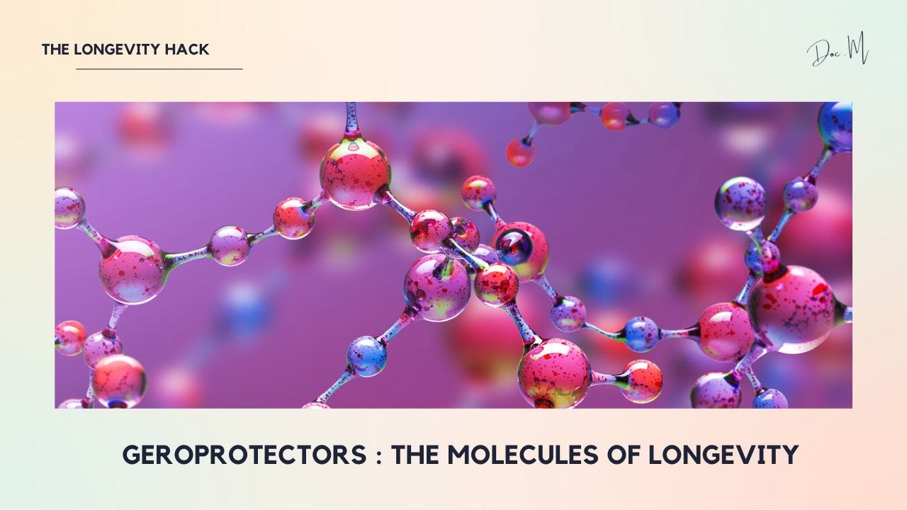 Unlocking the Secret Between VO2 Max and Longevity | by Marcus Ranney ...