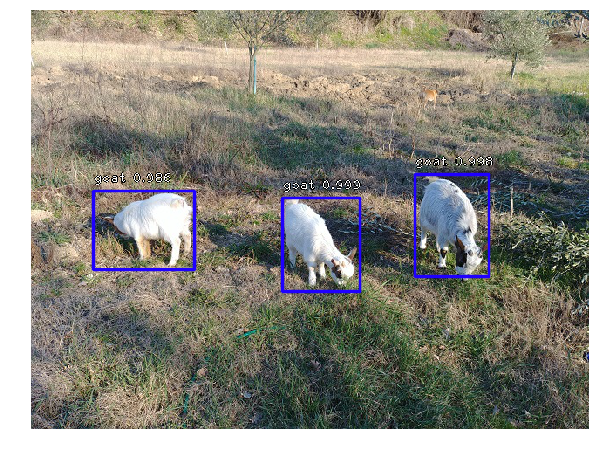 Object Detection in Google Colab with Custom Dataset | by RomRoc | HackerNoon.com | Medium