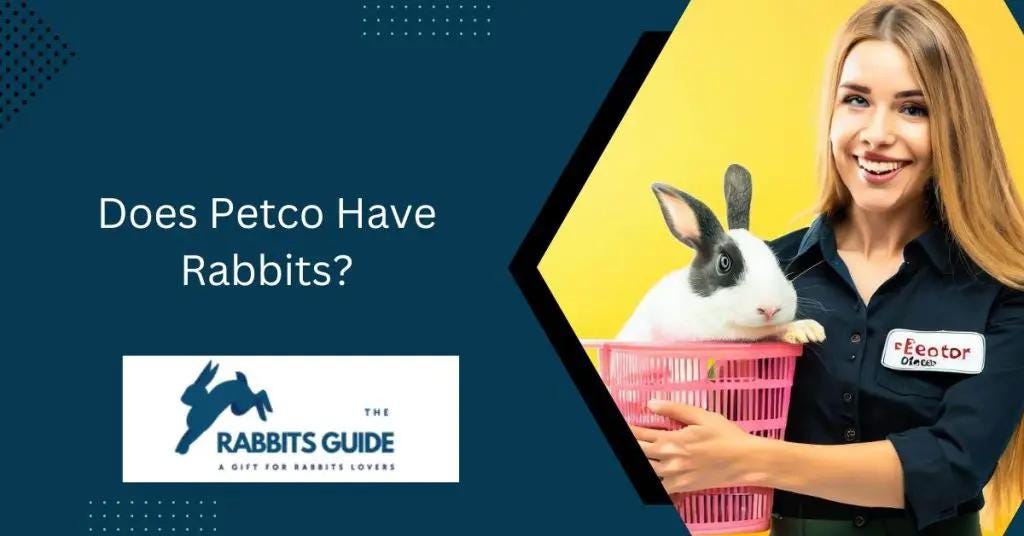 How Rabbits Show Affection?. Rabbits are often underestimated when ...
