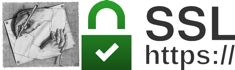 Enable SSL in Nginx Server to access the application on HTTPS (Port 443) | by VS Charan | Medium