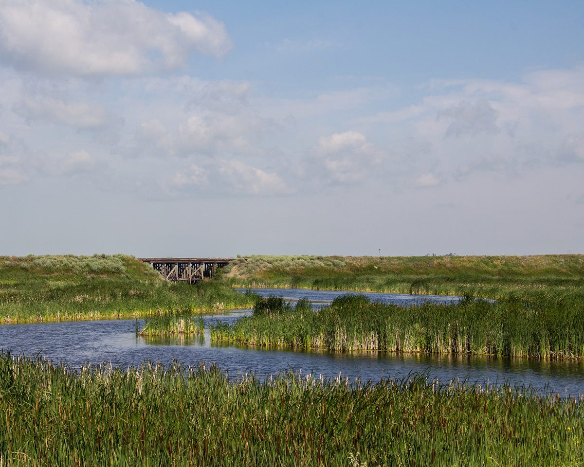 Flying Creek - Norman Brown - Medium