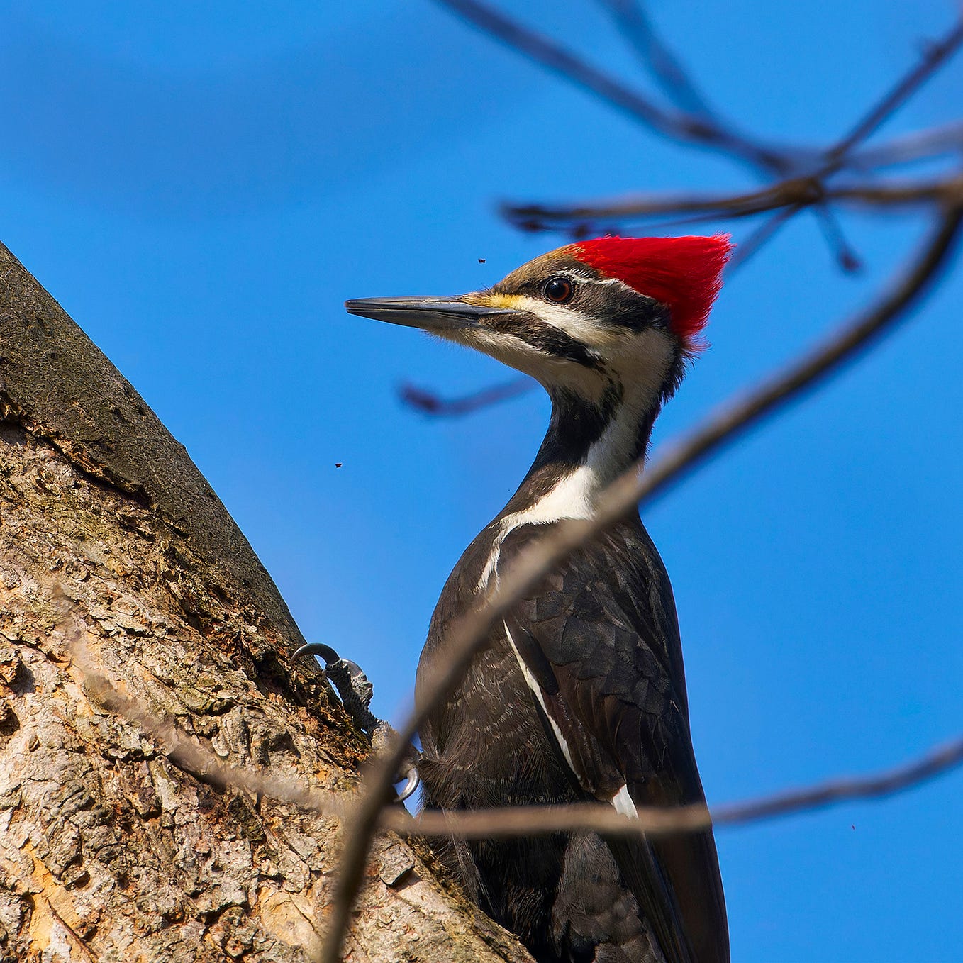 Writing Non-fiction Poetry — years’ worth | by Bill Evans | Jan, 2025 | Medium