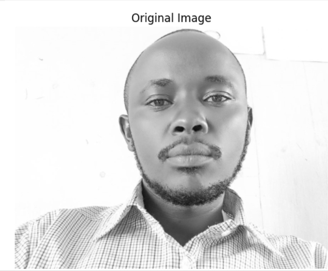 Fourier Transform The Practical Python Implementation By Omar Alkousa Towards Data Science 1115