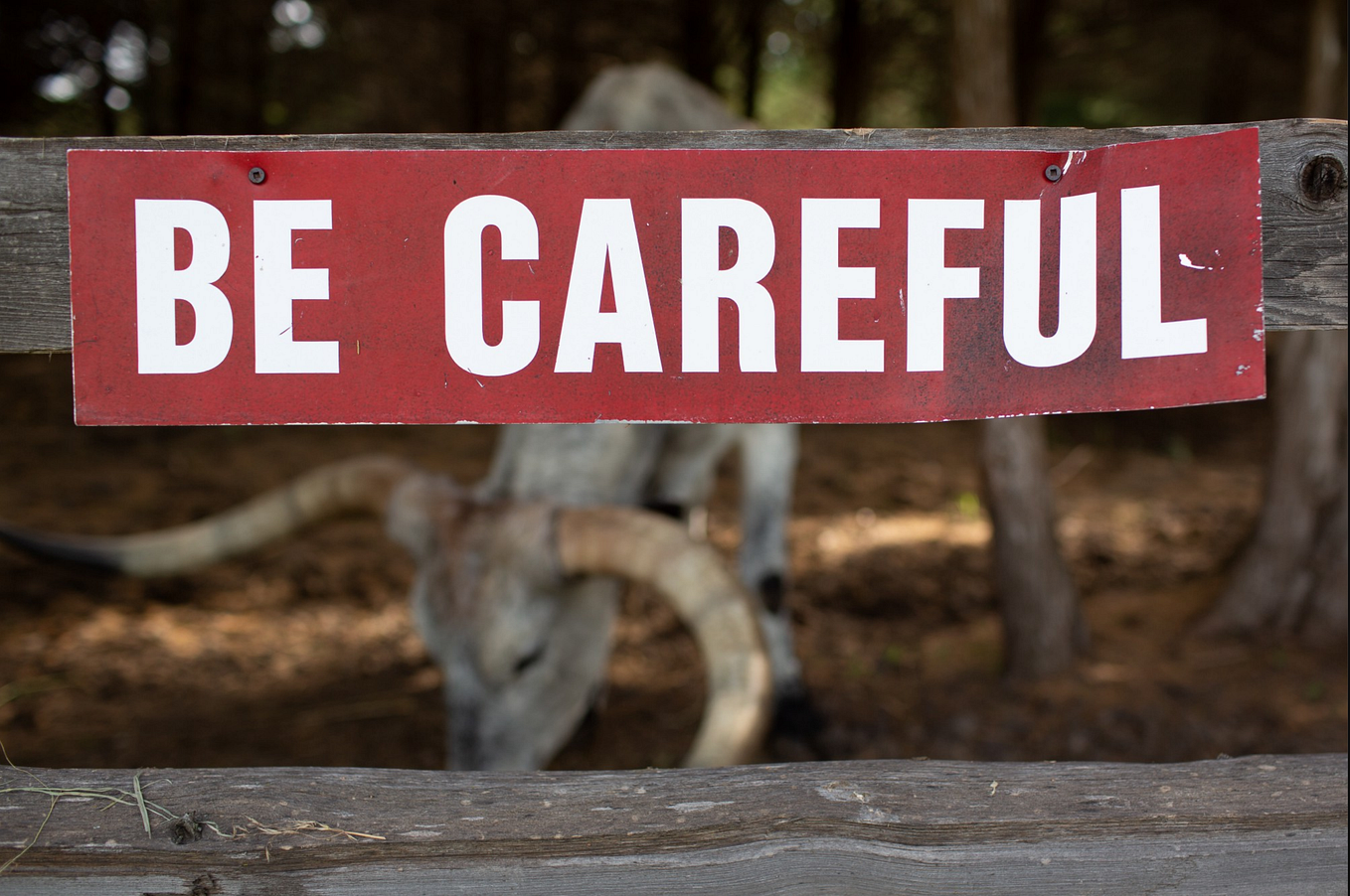 SQL Like a Pro: Doing a “For Loop” in SQL | by Joao Marques @ Data ...