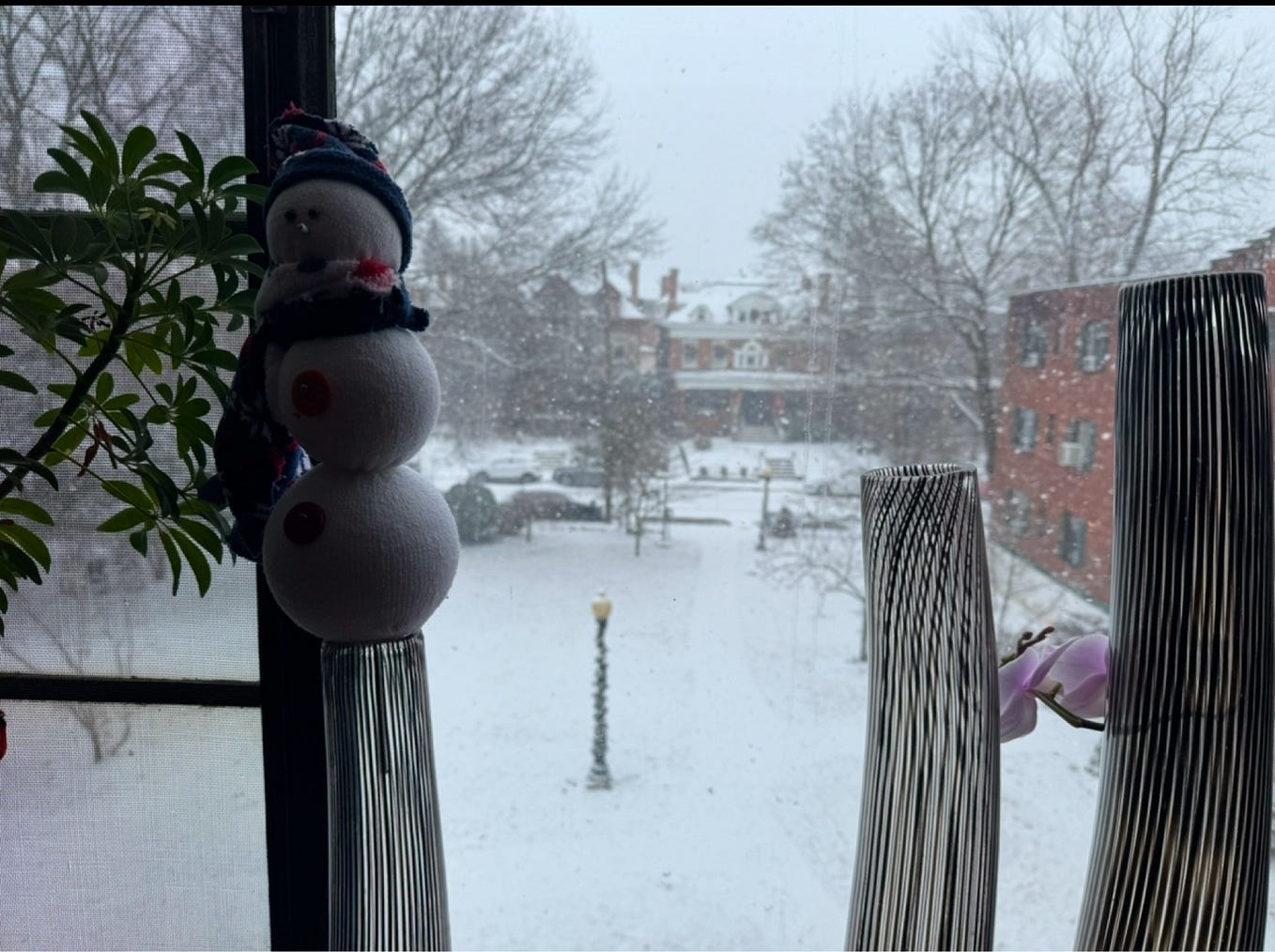 The Power of an Exhale. For lowering anxiety | by Shlee Sci ...