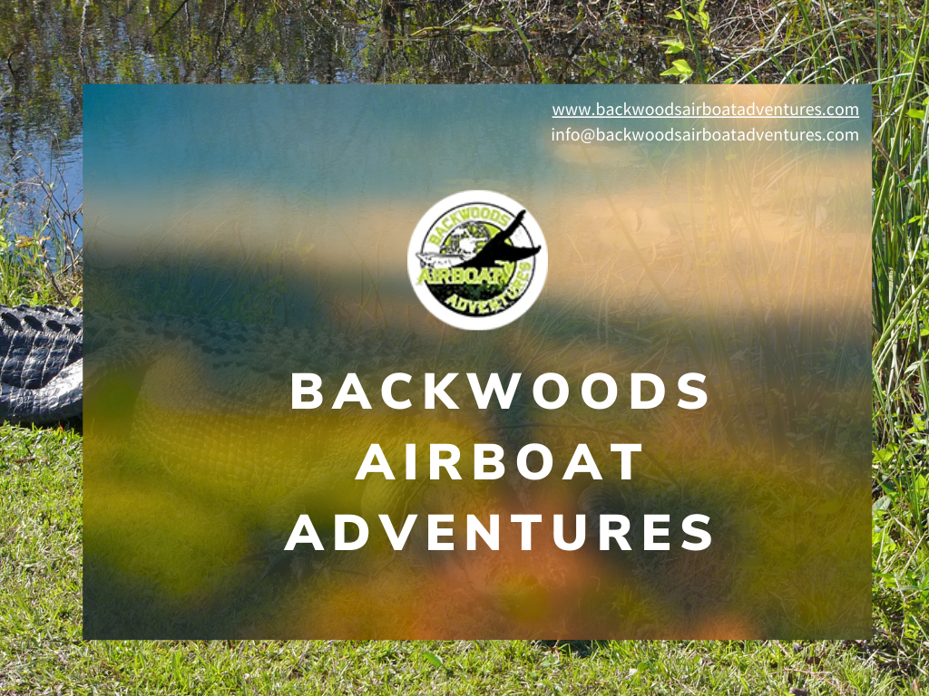 Orlando’s Alligator Encounters: Adventure Tours Beyond Imagination | by ...