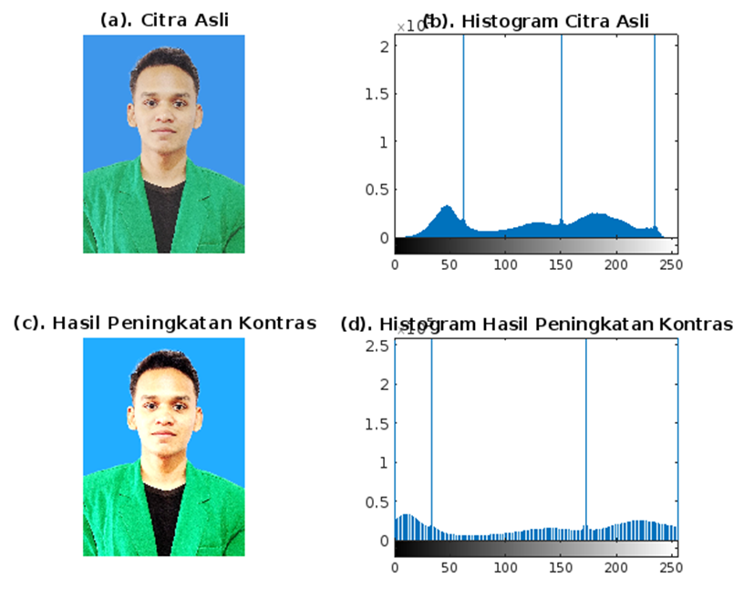 PENGOLAHAN CITRA DIGITAL. Citra digital merupakan representasi… | by Alfis Engineer | Medium