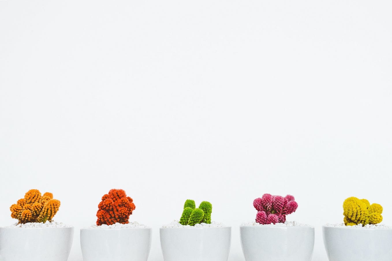How To Use Data Attributes In Javascript Css Html By Alexandra