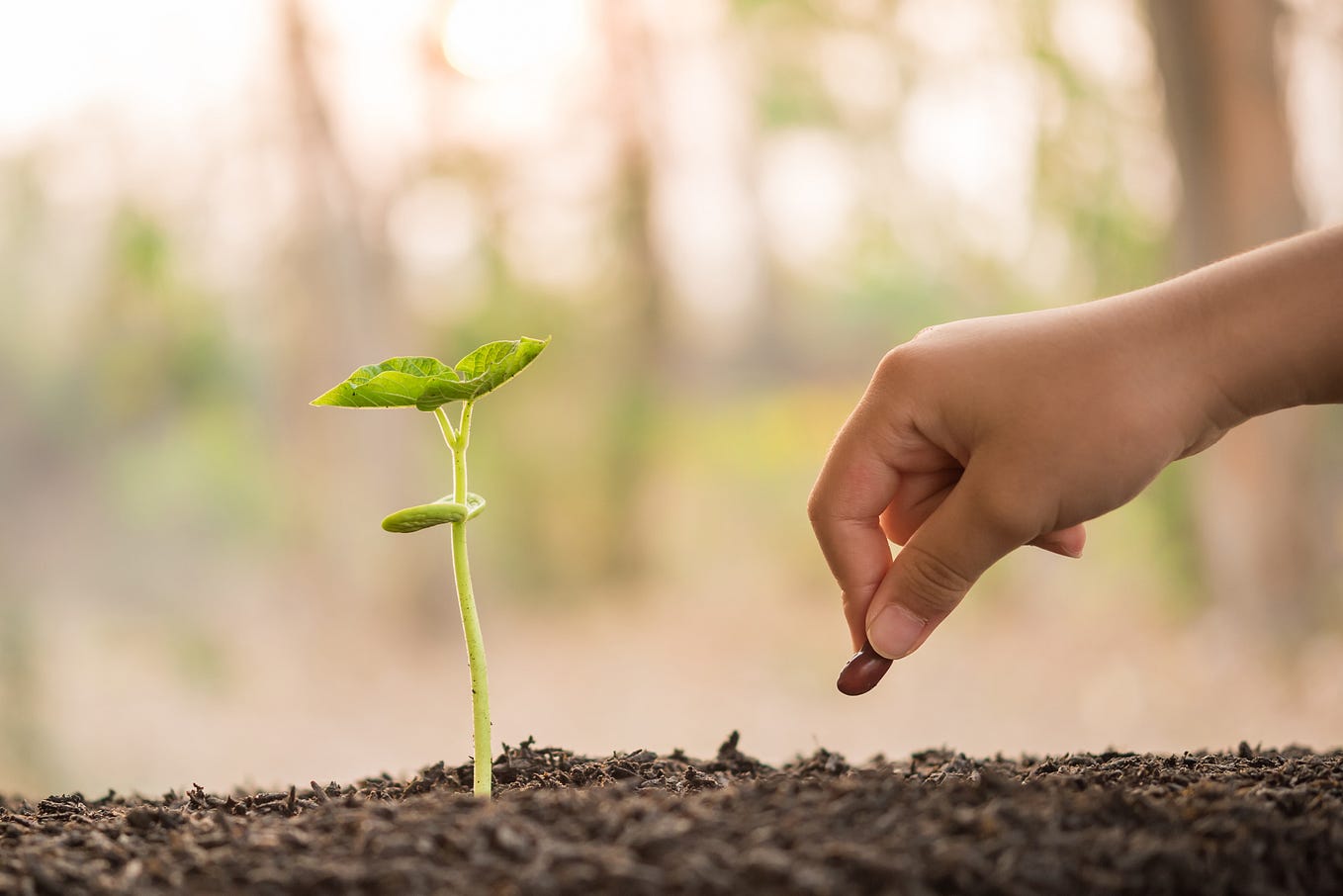 The Human Family Tree: Roots Connect Us All | by Dylan Raines | Medium