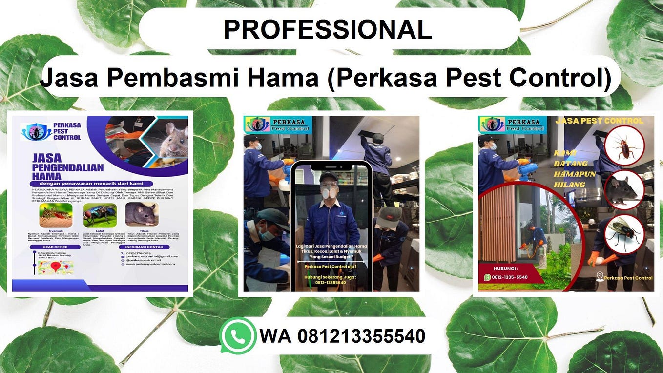 Jasa Pembasmi Hama Di Rumah Atau Tempat Usaha Di BSD Serpong - risman ...