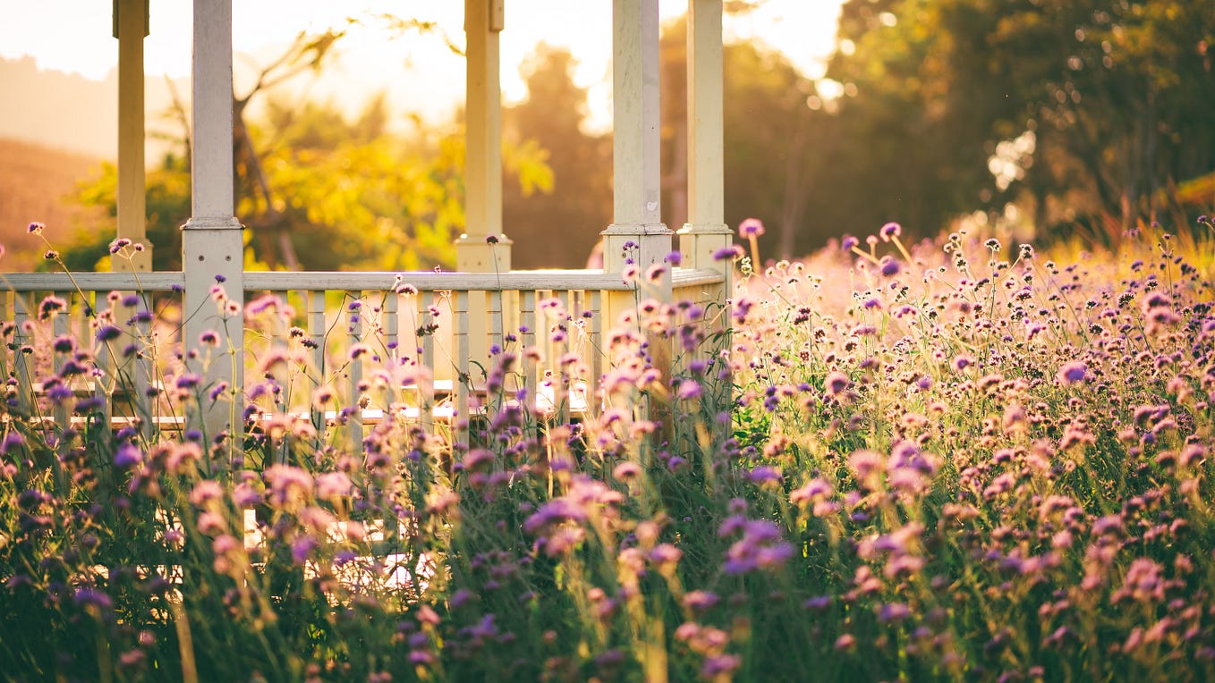 Why I Finally Started Waking Up At 5:00 A.M. | by Lance Baker ...