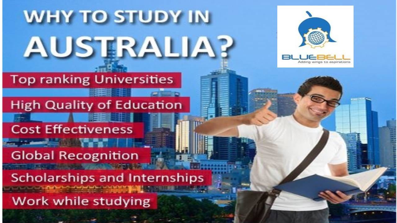 How to Go Abroad for Higher Studies | by Bluebellguru | Medium