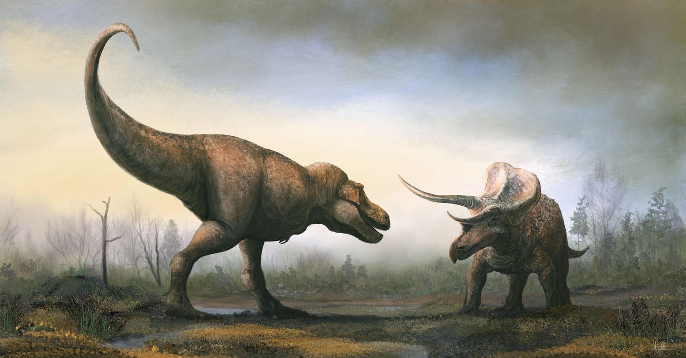 Barinasuchus: The Largest Terrestrial Predator of the Cenozoic | by ...
