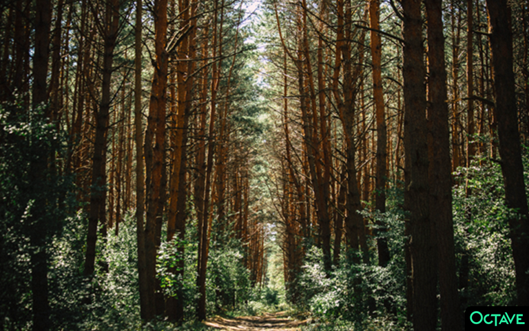 Step-by-step guide to setting up databricks in Visual Studio Code | by ...