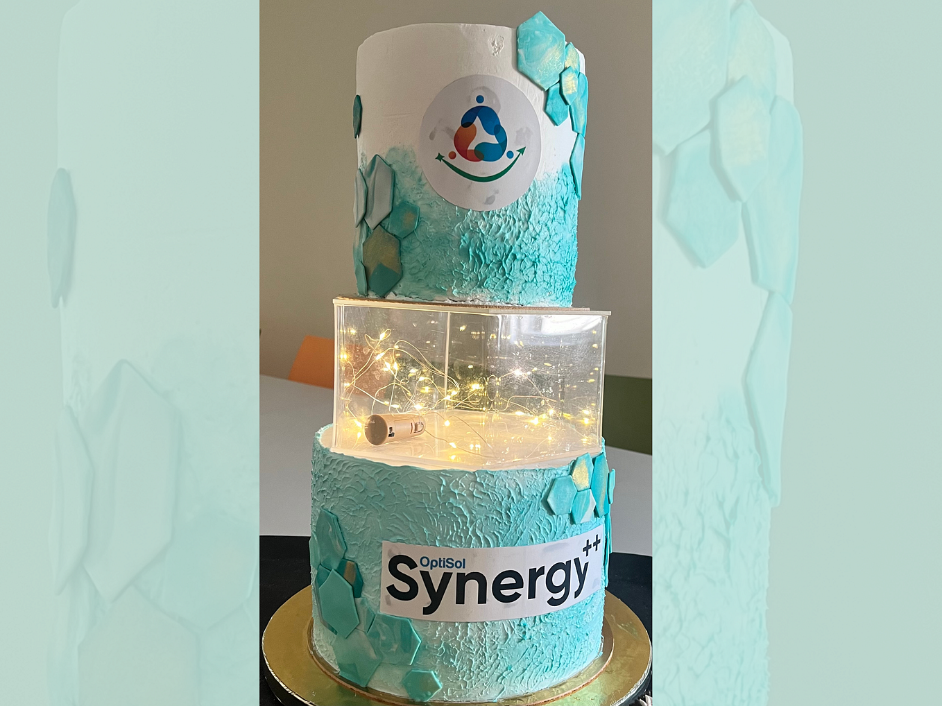 Optisol The Synergy Update Optisol The Synergy Update Edition