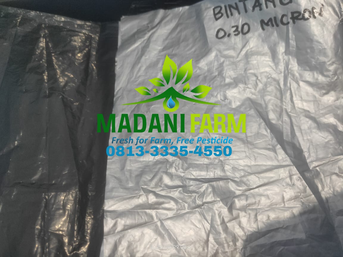 Distributor Plastik Mulsa Distributor Plastik Mulsa Pertanian Melayani ...