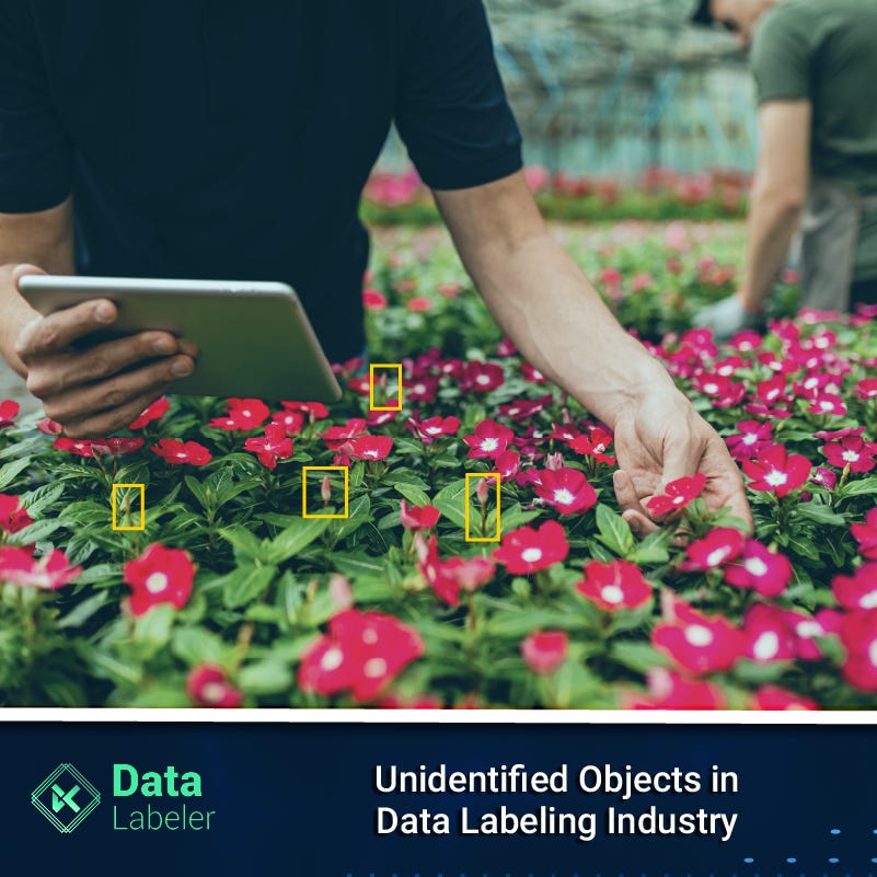 What is the future of Data Labeling and how it matters? | by DataLabeler L | Medium