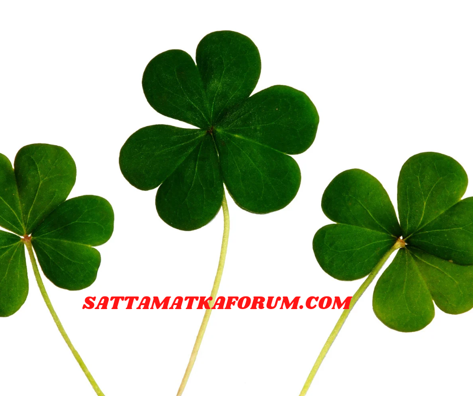 Satta Matka is a general word, and when it comes to kinds of tara matka ...
