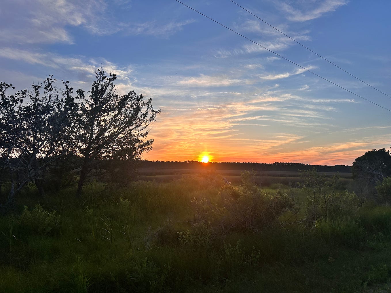 50 things to do before turning 50 (weeks 7 through 10) | by Angela ...