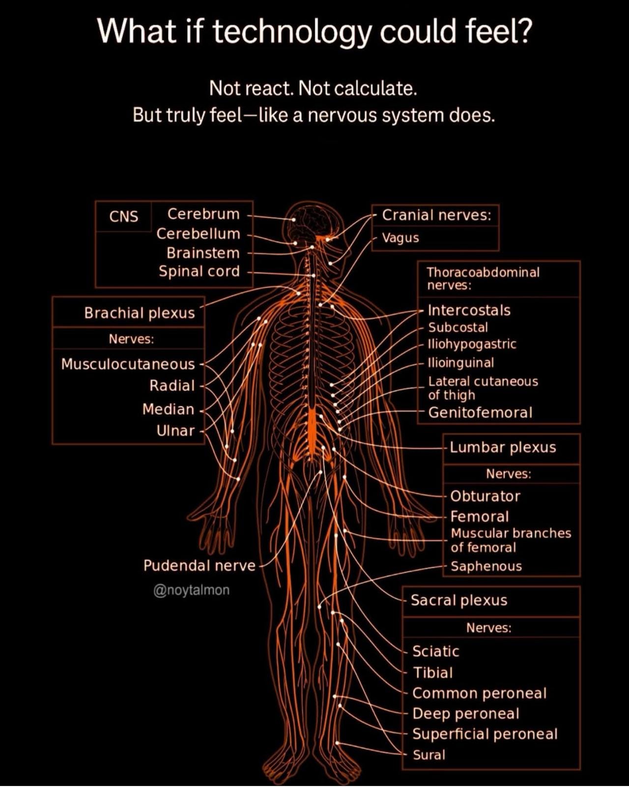 The Layered Self. A Coherence-Based Framework for… | by Noy Talmon | Jun, 2025 | Medium