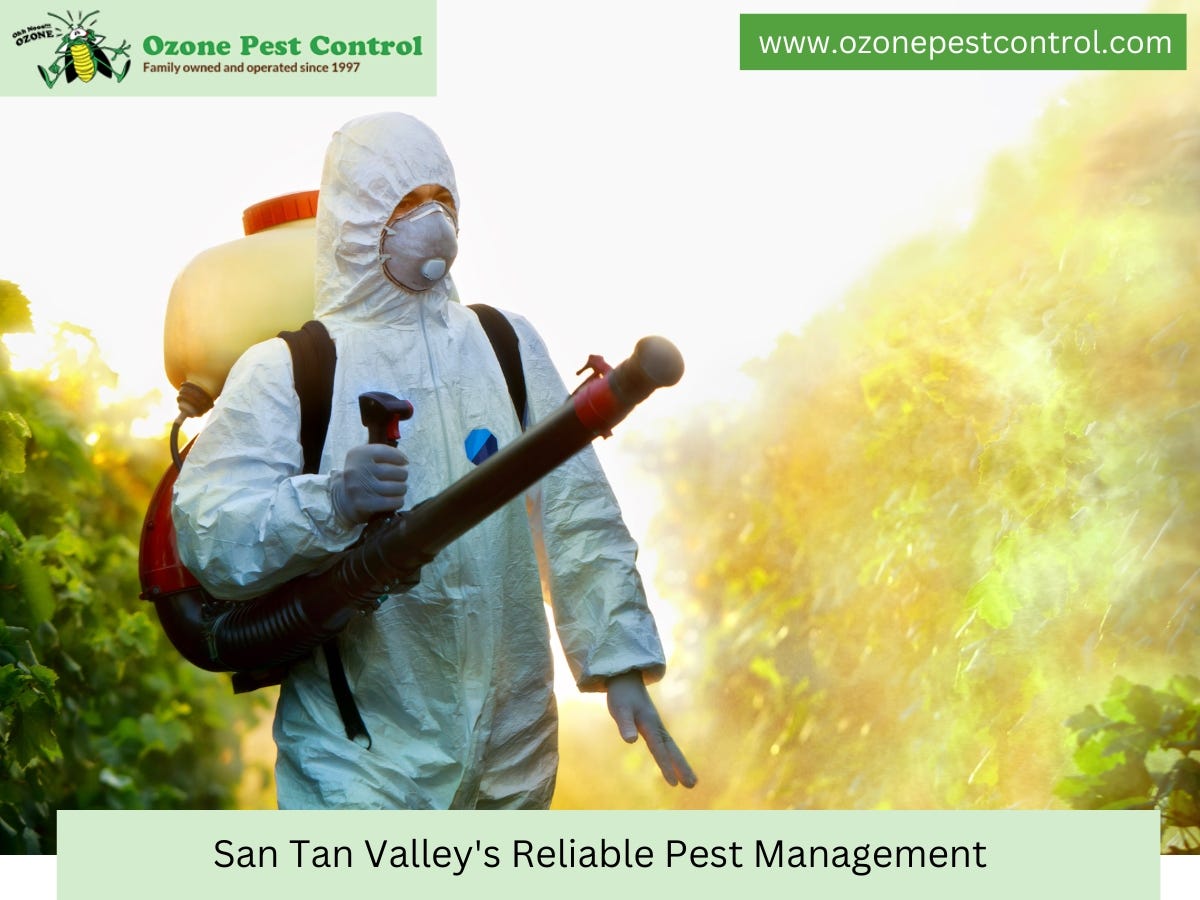 Phoenix Pest Control — San Tan Valley, Arizona | by Ozone Pest Control ...