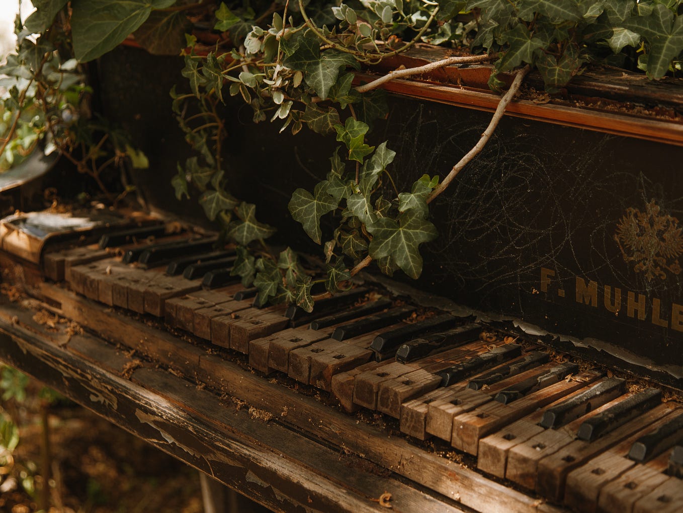 What is a Music Appreciation Class About? | by Peter Abbonizio | Medium