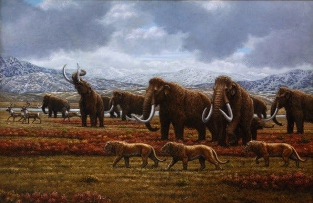 The Second Great American Extinction Event (1600s to 1900s) | by ...