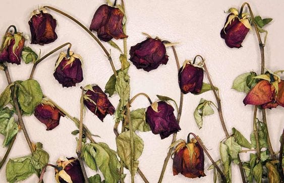 Solving Leetcode until I land a job! | by Rutuja Bhombe | Jul, 2024 ...