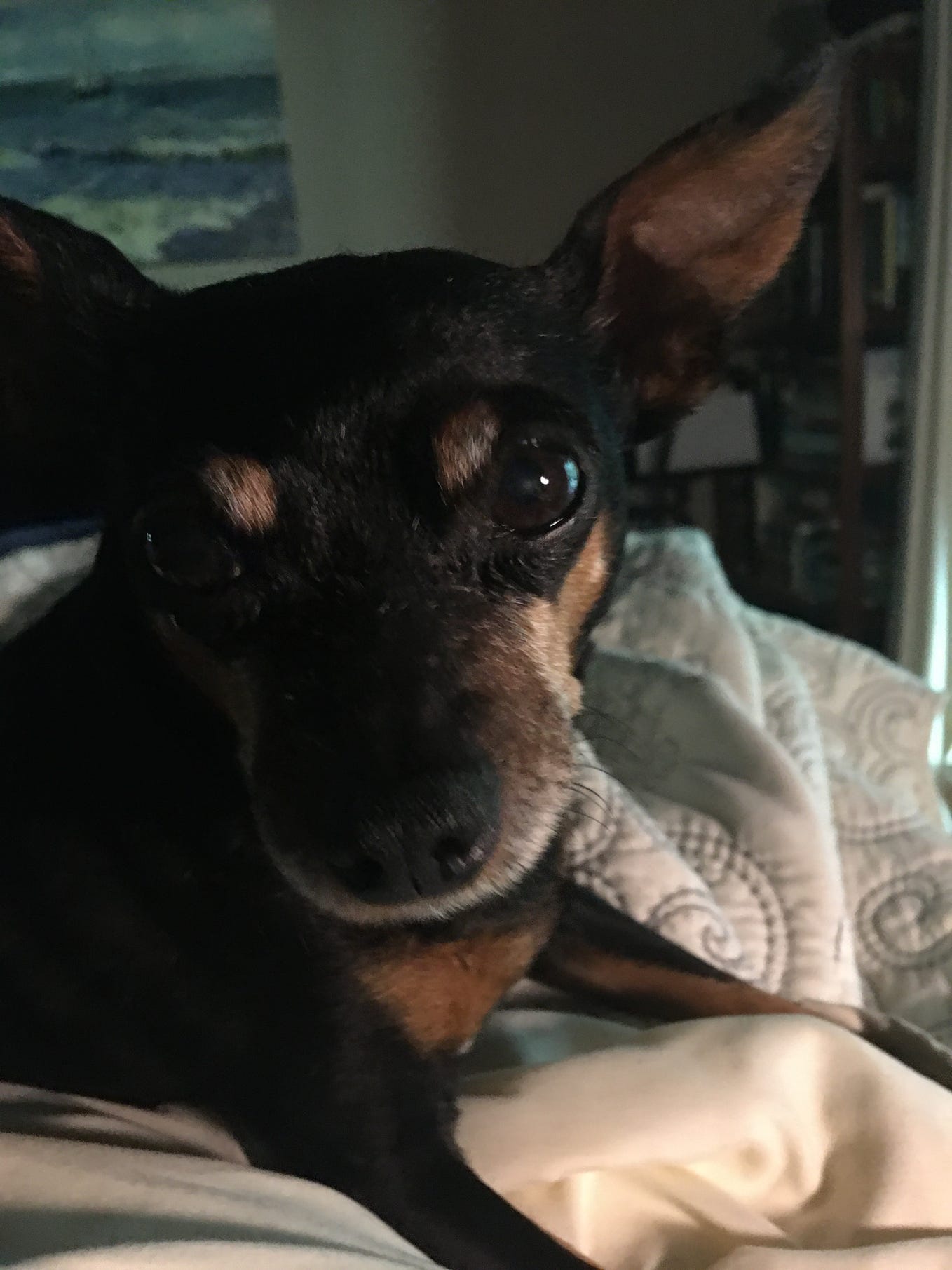 My “Dear Ethyl” Letter | by Chas Crooks | Medium