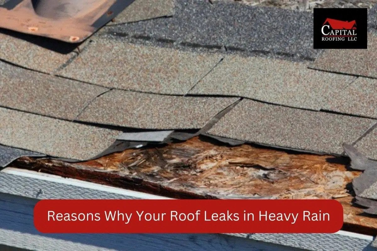 Why Are Your Roof Shingles Lifting? - Capital Roofing - Medium