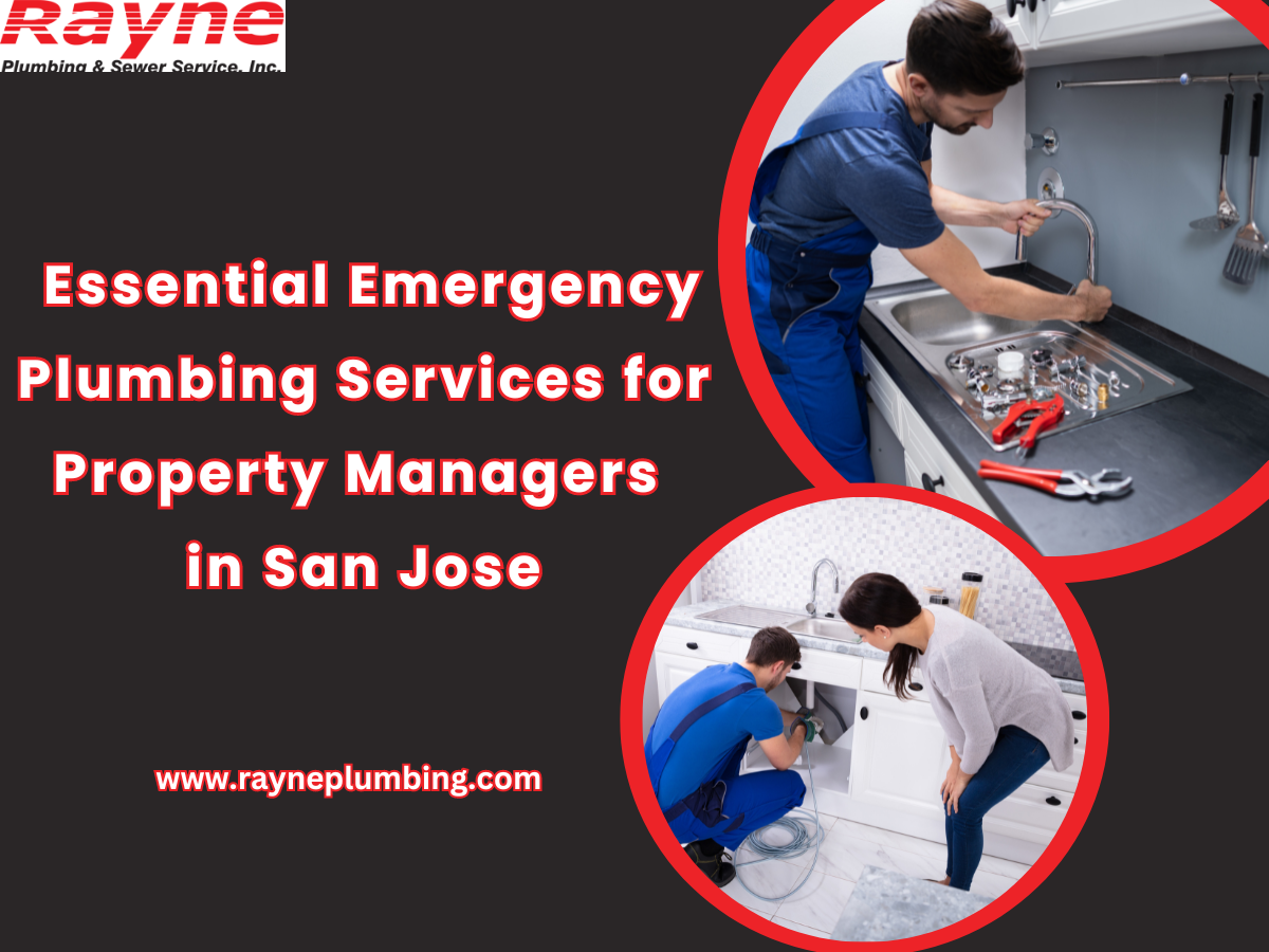 Rayne Plumbing: Your Trusted San Jose Plumber for Emergency Services ...