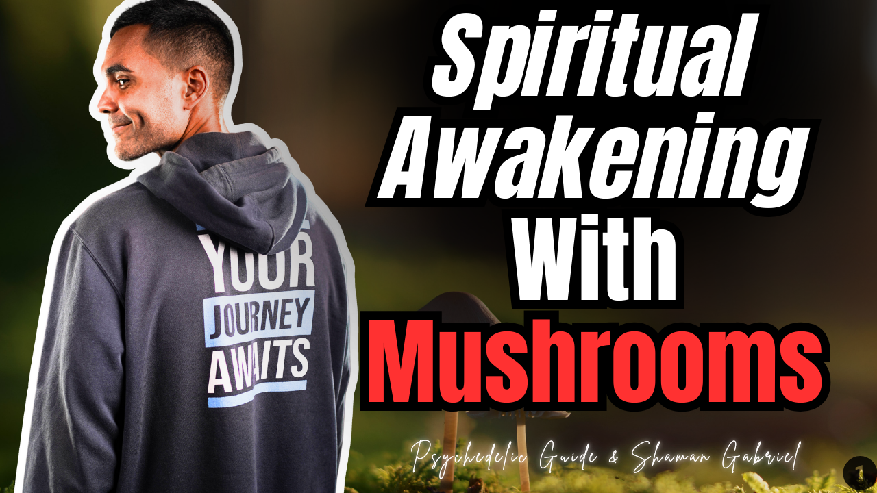 Mastering Detachment: The Inner Power That Saved My Life and Can Heal ...